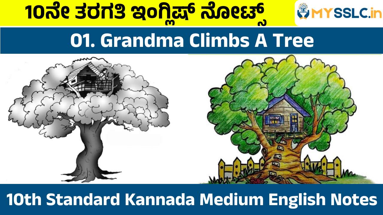 10th Class English Poem Grandma Climbs A Tree Notes Summery