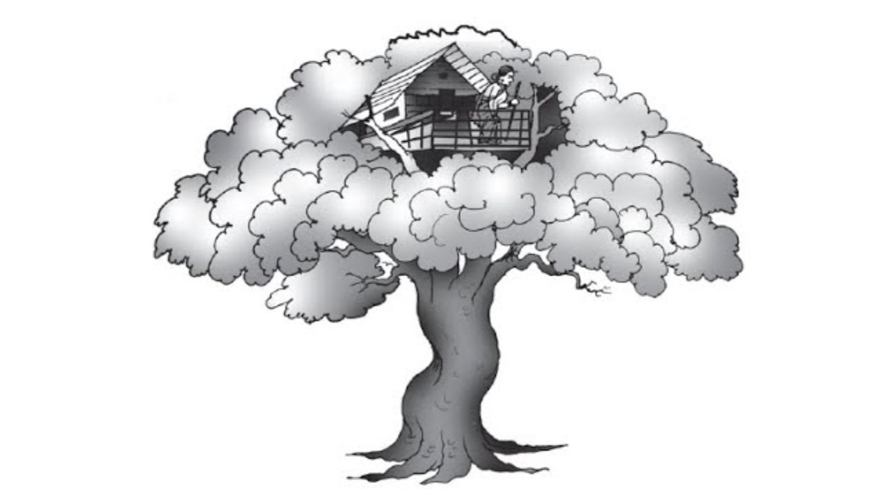 10th Class English Poem Grandma Climbs A Tree Notes Summery