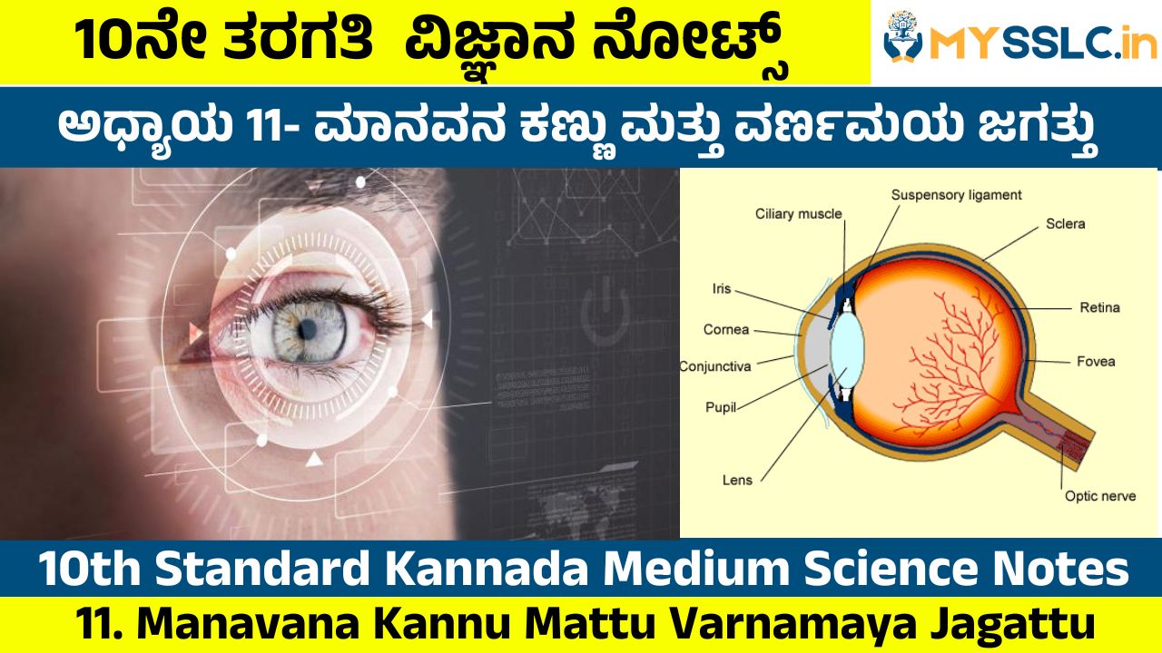 10th Manavana Kannu Mattu Varnamaya Jagattu Science Notes